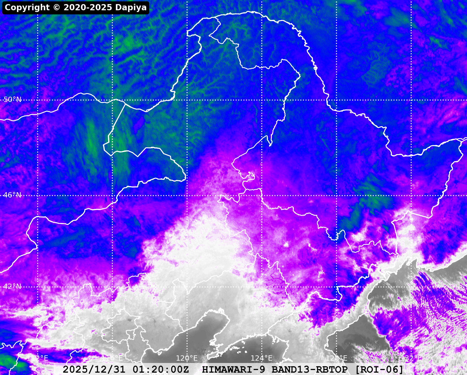 Dapiya - ROI Management系统页面